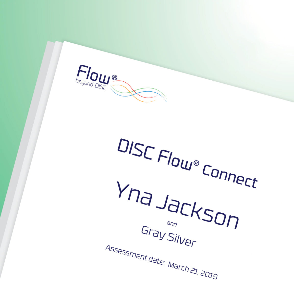 DISC Flow® Connect Report | Online Assessment – DISC FLOW HK
